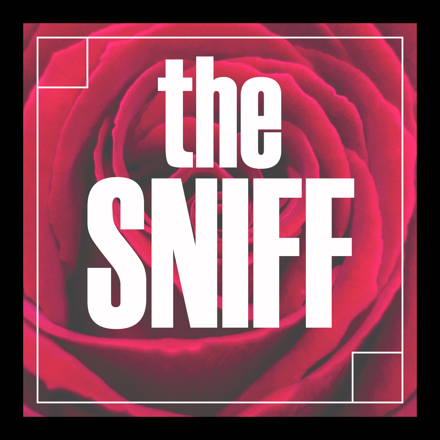 The Sniff