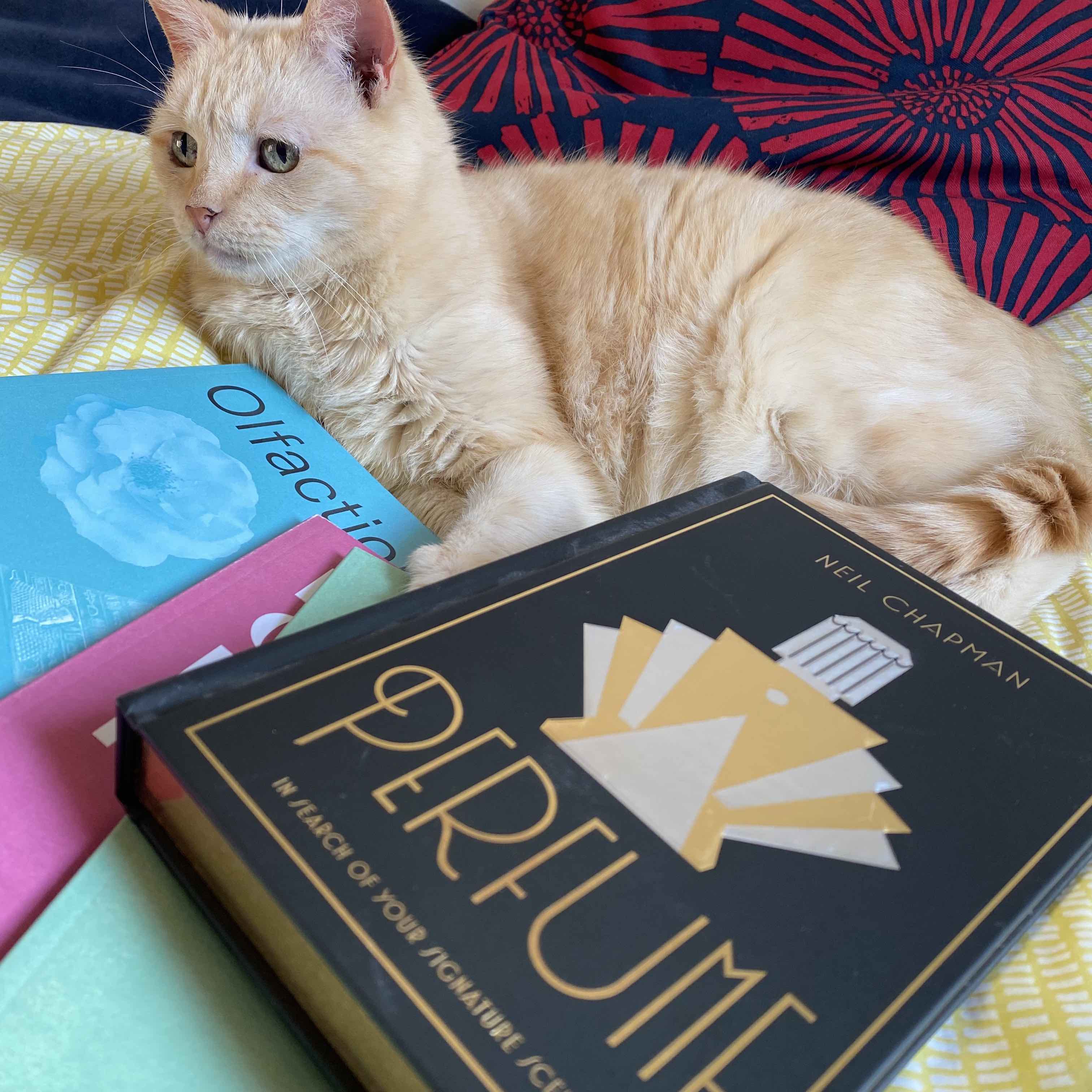 Perfume books and publications – The Sniff